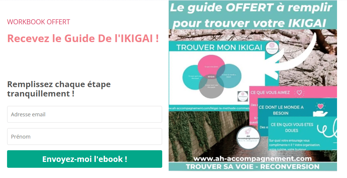 Ikigai : la méthode, comment trouver son Ikigai ? - AH ACCOMPAGNEMENT